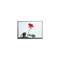 China in stock 7.0 inch 1024*600 M070GWT4 R0 60Hz TFT LCD screen for sale