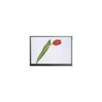 China M070SWP1 R0 7.0 inch 800*480 TFT LCD screen Panel Display for sale