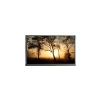 China Original 10.1 inch M101AWAJ R01280*720 TFT LCD screen parts for sale