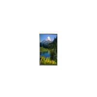 China Original 800*1280 10.1inch M101GWWC R5 TFT LCD screen FOR Tablet for sale