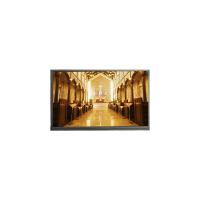 China M101GWWF R0 10.1 inch 1280*800 TFT LCD screen Display Panel for sale