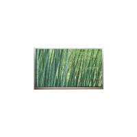 China 1024*768 10.4 inch M104GNX2 R1 LCD Panel screen for sale