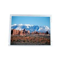 China New 12.1 inch M121GNS3 R0 800*600 TFT LCD Panel For Industry for sale