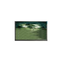 China M150MNN1 R1 1024*768 15.0 inch LVDS WLED TFT LCD Panel Monitor for sale
