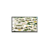 China 15.6 inch 1920*1080 M156GWFA R0 TFT LCD Panel for Automotive for sale