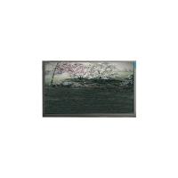 China P101GWN9 R0 10.1 inch 1024*600 262K 500:1 LCD Panel High Quality for sale