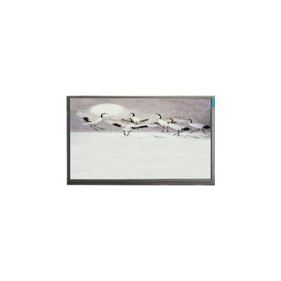 China P101GWWF R2 10.1 inch 1280*800 LCD Panel Display for Pad for sale