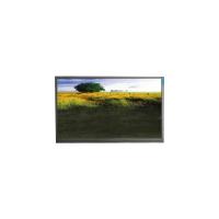China P150GNN2 R1 1024*768 15.0 inch LVDS 20 pins TFT LCD Panel Display for sale