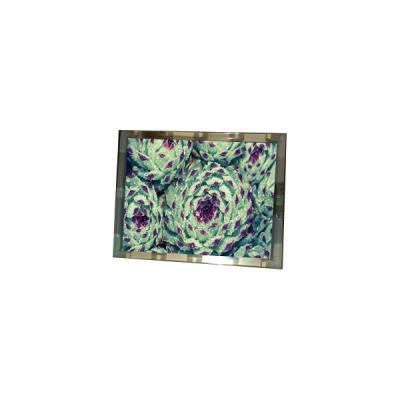 China 276*128 EL4836HB-ICE 6.3 inch 110 cd/m2 LCD Screen Panel for sale