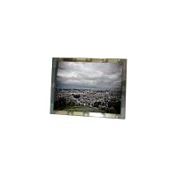 China new 8.6 inch EL6648MSS 512*256 self LCD Screen lcd Panel for sale
