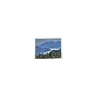 China 2.9 inch CM200400SFAYBGI2 LCD Screen Module for Instruments for sale