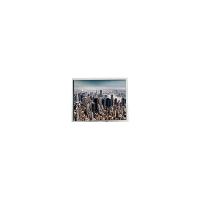 China FG0500E0DSSWBG01 800*480 5.0 inch LCD Screen FOR Automotive for sale