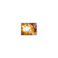 China FG0700GDDUSWMG01 7.0 inch 800*480 WLED 262K LCD Module for sale