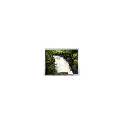 China FG040310DSSWBG01 4.3 inch lcd screen with Industrial for sale