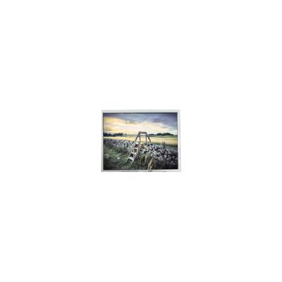China 5.6 inch FG050600ANCWAG02 320*234 lcd screen for Portable DVD Player for sale