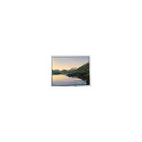 China FG050700DSSWDGL2 5.7 inch 320*240 33 pins lcd screen parts for sale