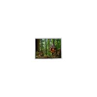 China FG050720DSSWDGT1 640*480 5.7 inch LCD Touch Screen parts for sale