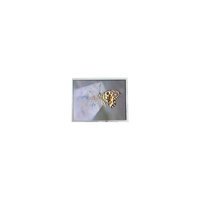 China FG050722DSSWDGL2 640*480 5.7 inch 20 pins LCD Screen Parts for sale