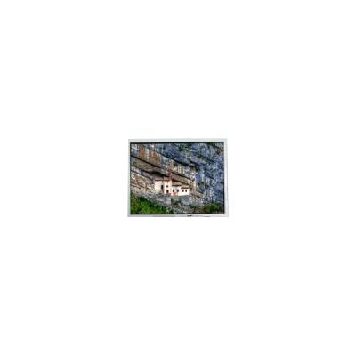 China 320*234 FG060400ANCWA-01 6.4 inch LCD Panel FOR Digital Photo Fram for sale