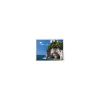 China 640*480 FG080010DNCWAGL4 8.0 inch 262K LCD Panel Module for sale