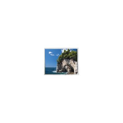 China 640*480 FG080010DNCWAGL4 8.0 inch 262K LCD Panel Module for sale