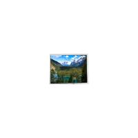 China 8.0 inch 640*480 FG080016DNCWAG03 LCD Module Touch Screen for sale