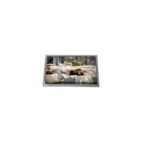 China FX1001P2DSSWMG01 10.1 inch LCD screen for Outdoor High Brightness for sale