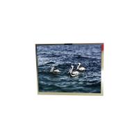 China 640*480 FX050726DSSWDGZ1 5.7 inch LCD Display Panel for sale