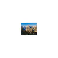 China hot sell 5.7 inch LSUBL617XA 320*240 lcd Panel monitor for sale