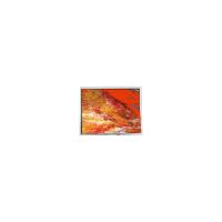 China EG2401S-ER 5.4 inch 256*64  14 pins LCD display screen for sale