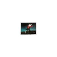 China Small 3.8 inch 320*240 GPG32242CC1 LCD Display for sale