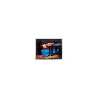 China 7.0 inch GPM1335A1 800*480 60Hz LCD Display Panel for sale