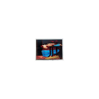 China 7.0 inch GPM1335A1 800*480 60Hz LCD Display Panel for sale