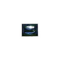 China Hot Sell MST-G320240DBSW-213W-E 5.7 inch LCD screen Industrial for sale
