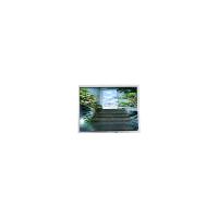 China OEL9M0081-Y-E 3.4 inch in stock LCD screen Panel Display for sale