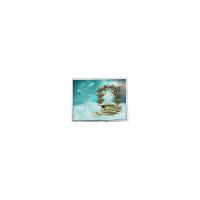 China TFT1N5918 6.9 inch 800*480 LVDS LCD screen Monitor for sale