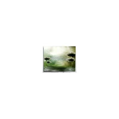 China 10.4 inch TFT1P1799-E 960*1280 LCD screen for Automotive for sale