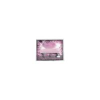 China New 10.4 inch 480*272 TFT1P5847-E 50 pins LCD screen Module for sale