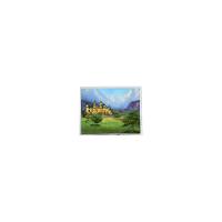 China TFT480272-27-E 4.2 inch 272*480 LCD screen for Automotive Display for sale