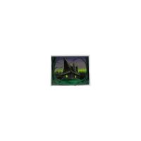 China 800*480 TFT800480-67-E 7.0 inch LCD screen for Portable DVD Player for sale