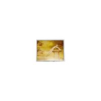 China TFT1920720-1 12.3 inch LCD module screen parts for sale