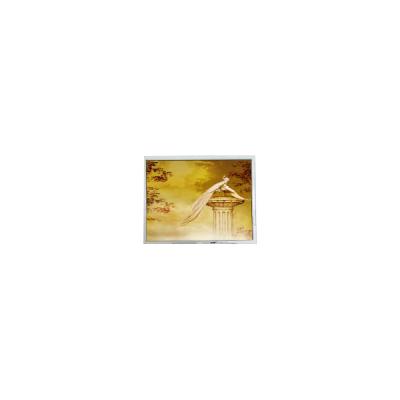 China TFT1920720-1 12.3 inch LCD module screen parts for sale