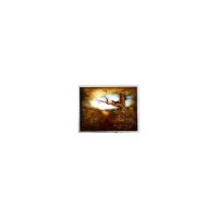 China 12.3 inch TFT1920720-6-E LCD screen for Automotive Display for sale