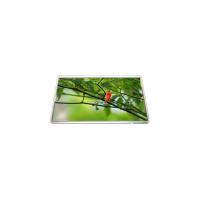 China original 42.0 inch PDP42C4 1024*768 31 pins LCD screen monitor for sale
