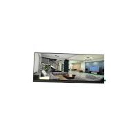 China P286IVN02.0 28.6 inch 1920*540 WLED LCD Panel screen monitor for sale