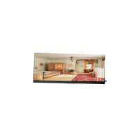 China High Quality 1920*540 28.6 inch P290IAN01.0 LCD monitor Parts for sale