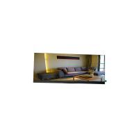 China new 37.0 inch P370IVN03.1 1920*540 LCD screen for Stretched Bar LCD for sale