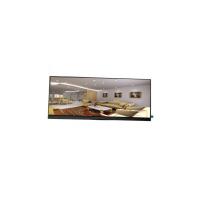 China original 42.0 inch P420IVN03.1 CELL 1920*480 16.7M LCD screen for sale