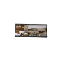 China P485IVN01.1 48.5 inch 1920*360 51 pins LCD panel Display screen for sale