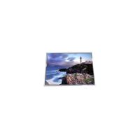 China in stock 12.3 inch 1920*720 LAM123G068A 16.7M  LCD screen for sale